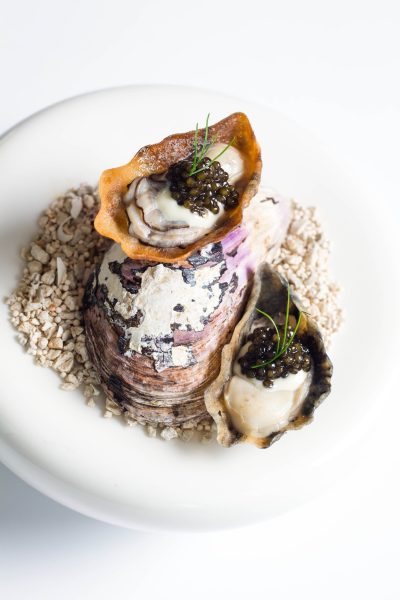 Home - Mystic Nova Scotia